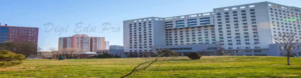 University of International Business and Economics