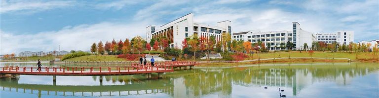 Hefei University of Technology