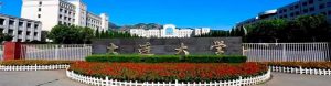 Dalian University